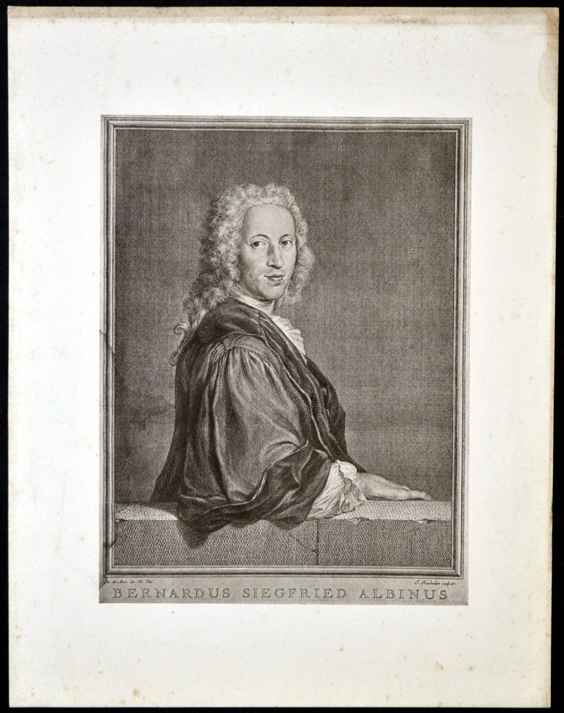 BERNARDUS SIEGFRIED ALBINUS | Rare Film Posters