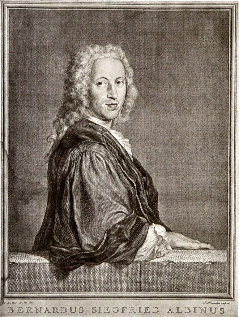 BERNARDUS SIEGFRIED ALBINUS | Rare Film Posters