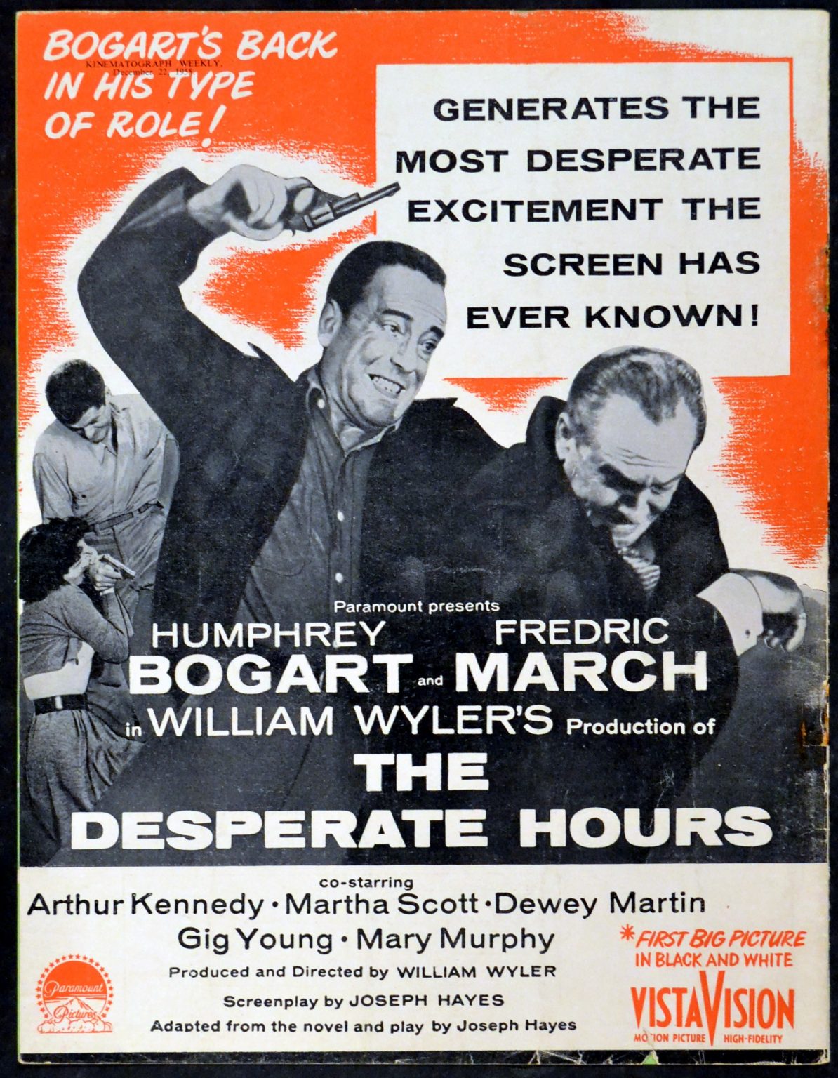 DESPERATE HOURS | Rare Film Posters