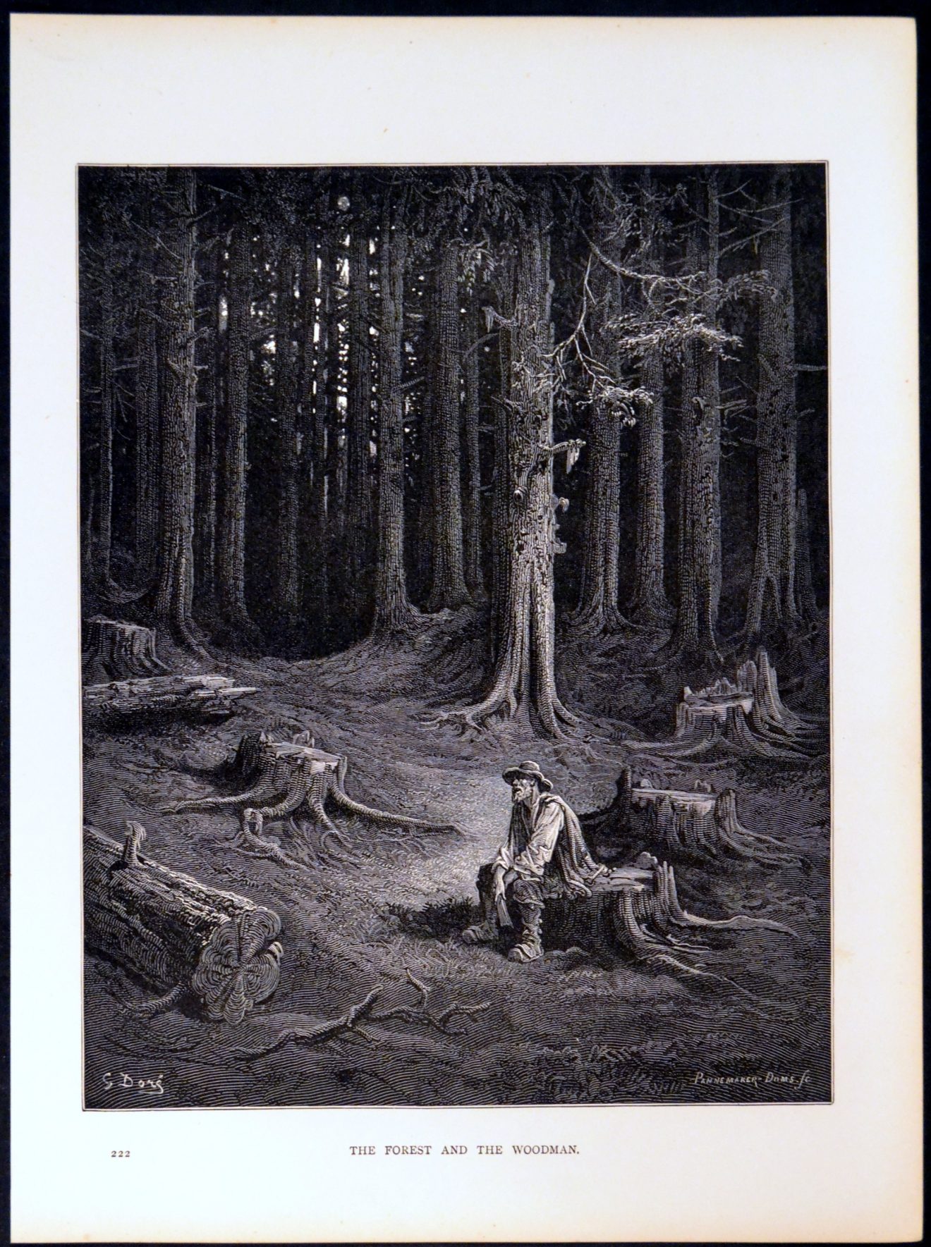 FOREST AND THE WOODMAN | Rare Film Posters