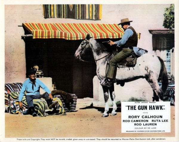 GUN HAWK | Rare Film Posters