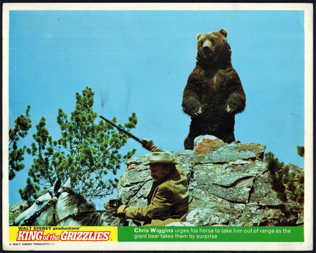 KING OF THE GRIZZLIES | Rare Film Posters