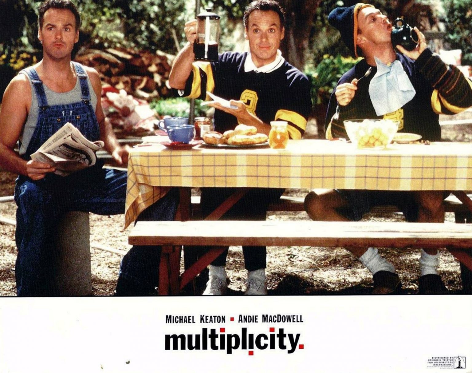 MULTIPLICITY | Rare Film Posters