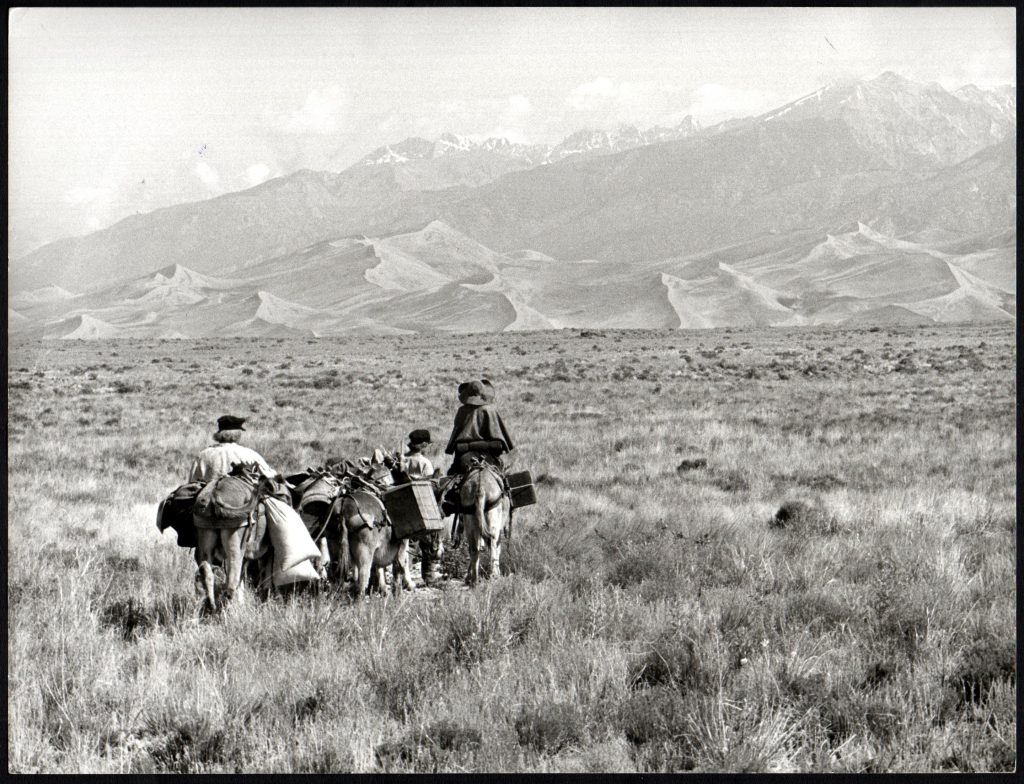 NEW LAND | Rare Film Posters