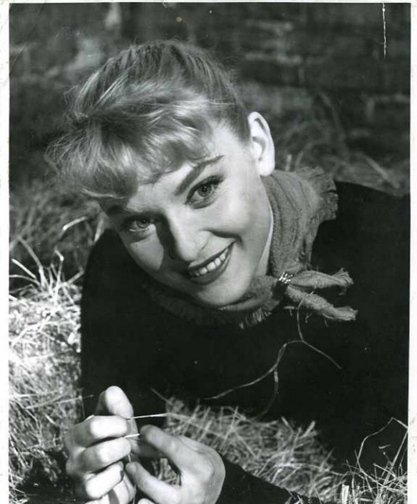 PASSING STRANGER | Rare Film Posters