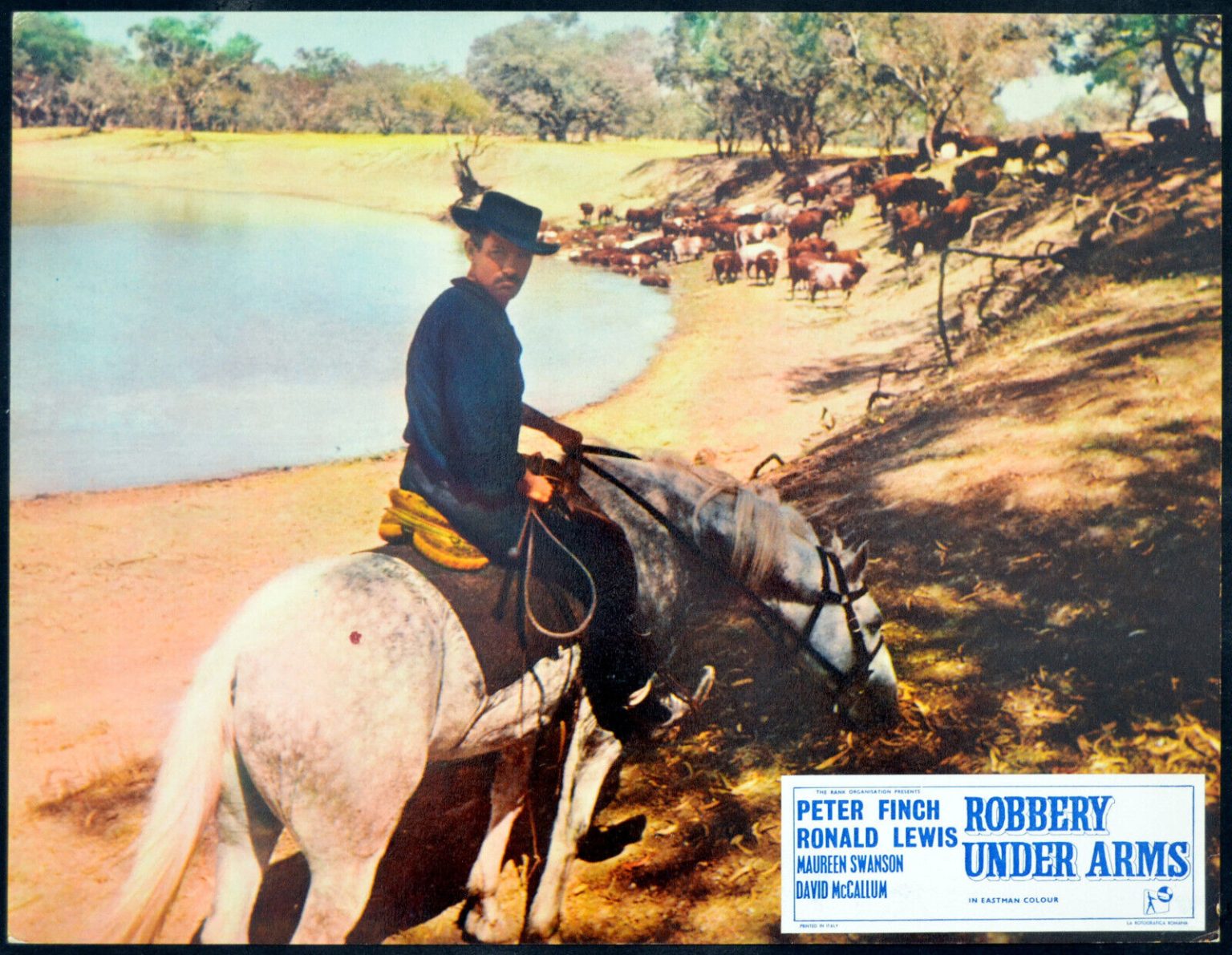 ROBBERY UNDER ARMS | Rare Film Posters