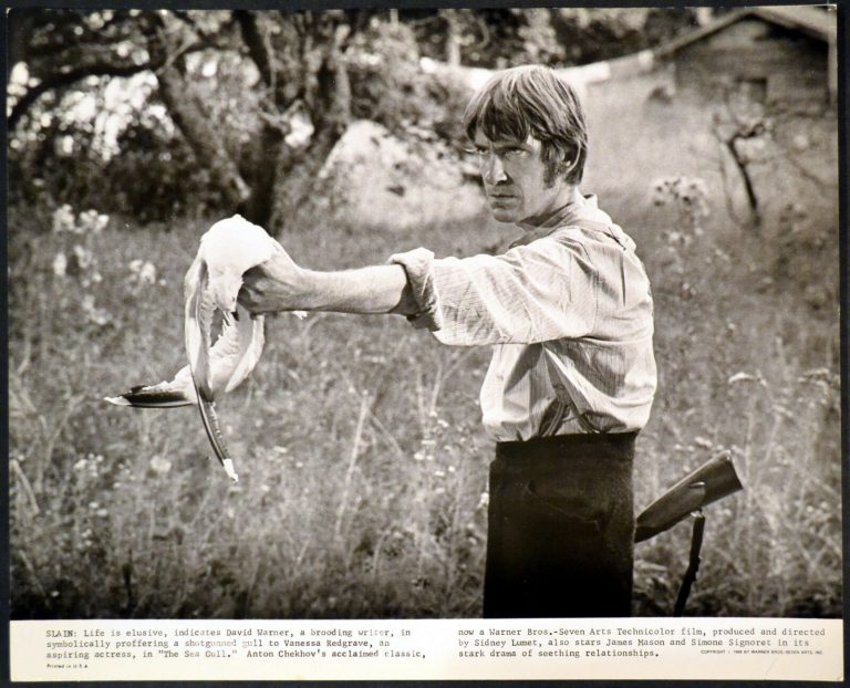 SEAGULL | Rare Film Posters