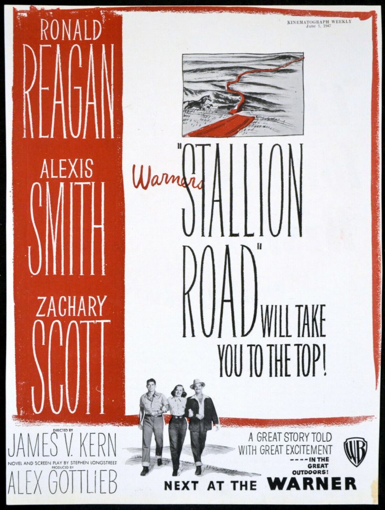 STALLION ROAD | Rare Film Posters
