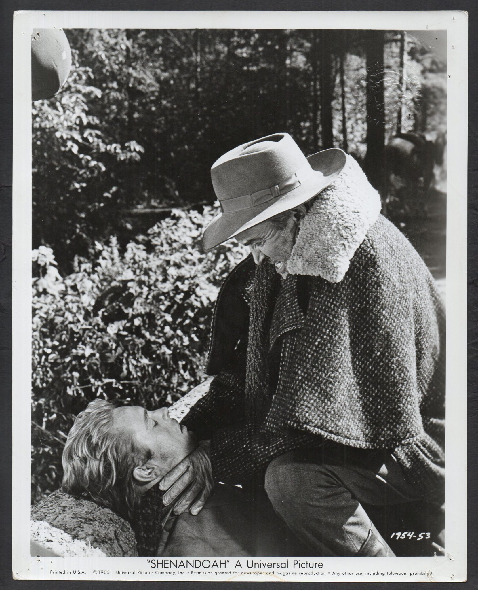 SHENANDOAH | Rare Film Posters