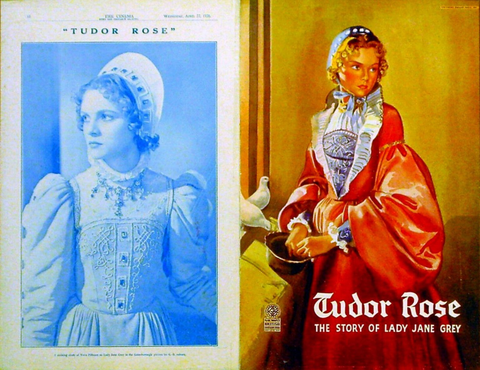 TUDOR ROSE | British 17 inch x 22 inch Trade Advertisement